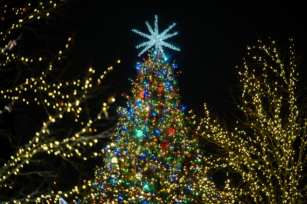 Detroit lights up for the holidays – Model D